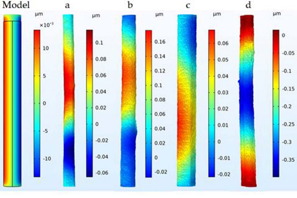 Simpleware – 费米科技